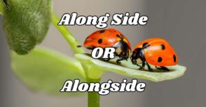 Along Side or Alongside: What’s the Difference?