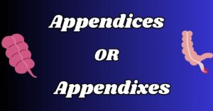 Appendices or Appendixes: What’s the Difference?