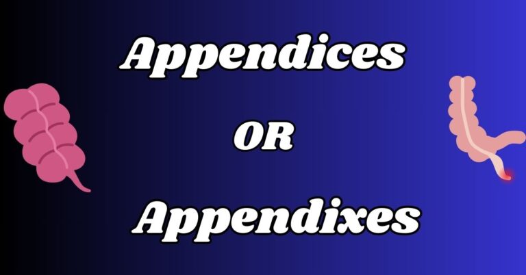 Appendices or Appendixes: What’s the Difference?
