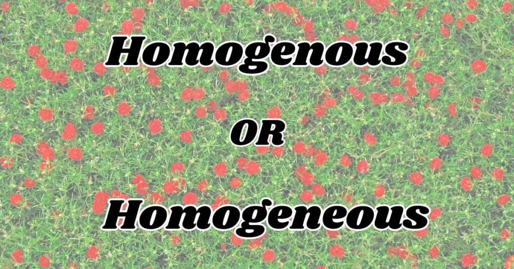 Homogenous or Homogeneous: What’s the Difference?