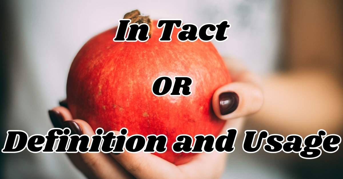 In Tact or Intact: Which Spelling is Correct?