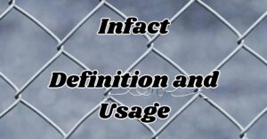 Infact or In Fact: Which One is Correct?