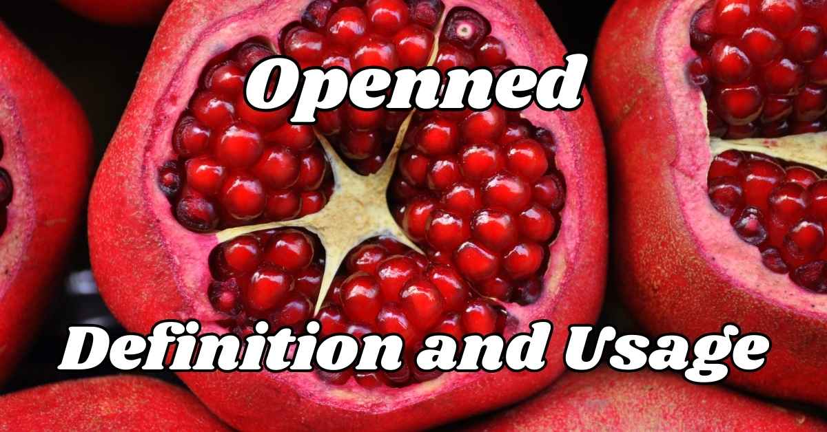 Opened vs Openned: What’s the Difference?