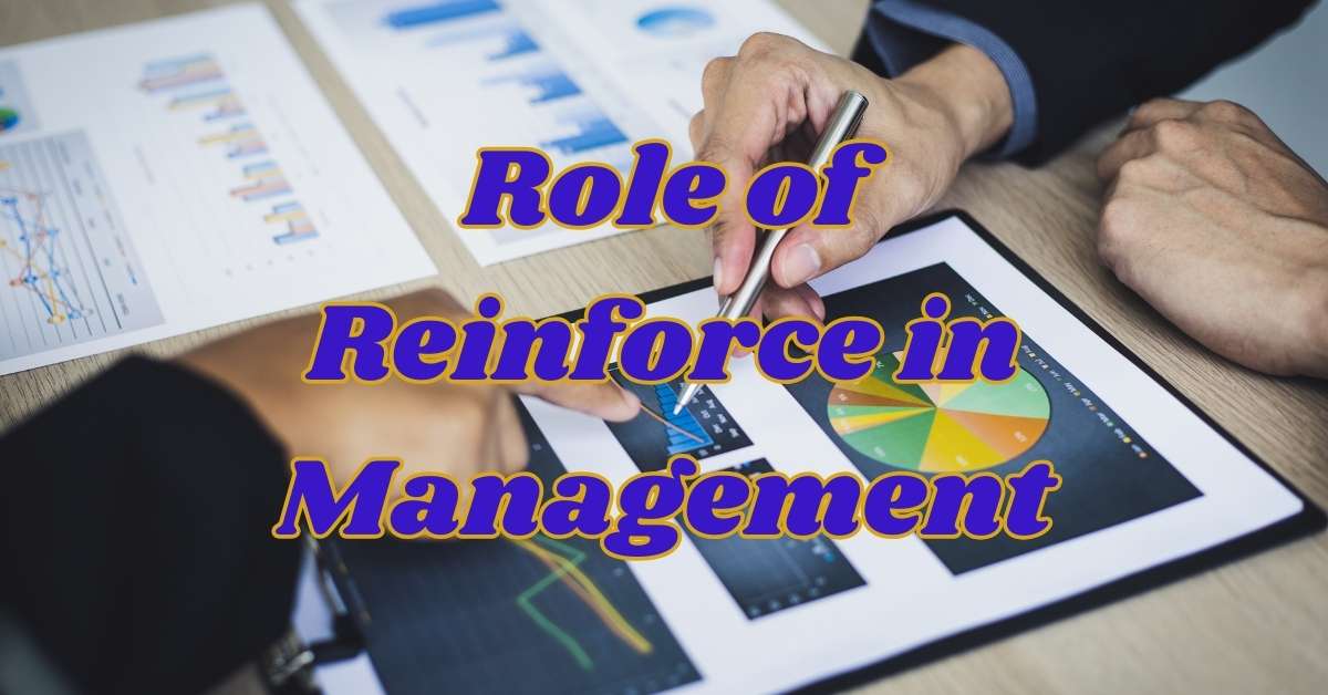 Reenforce vs Reinforce: Simple Guide [2025]