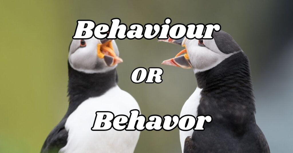 Behaviour or Behavor: Understand the Difference?
