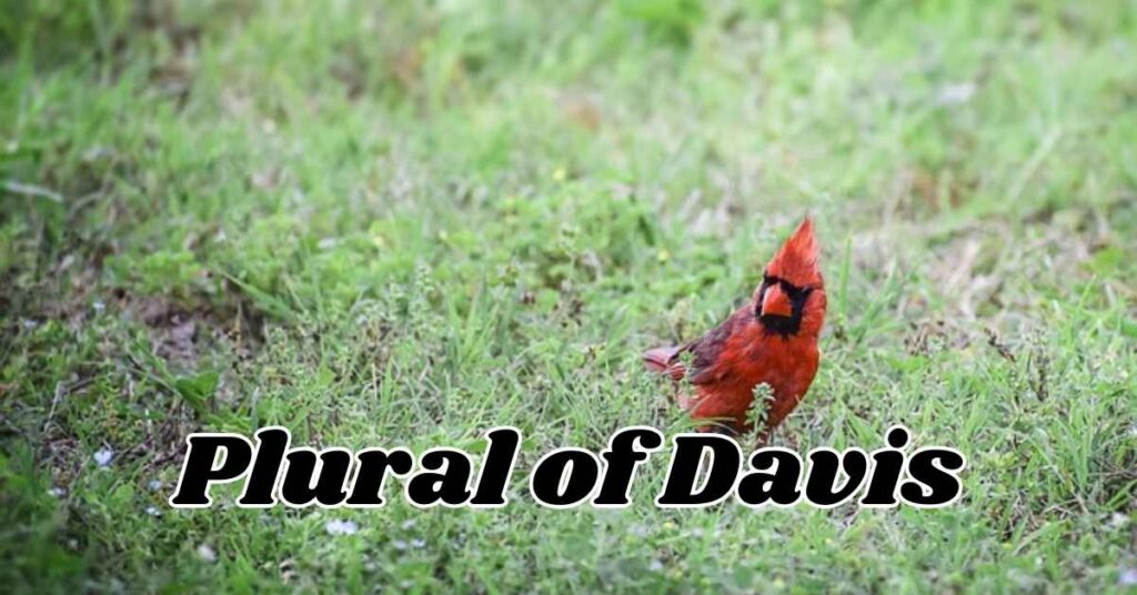 Plural of Davis: Is it Davis’ or Davis’s