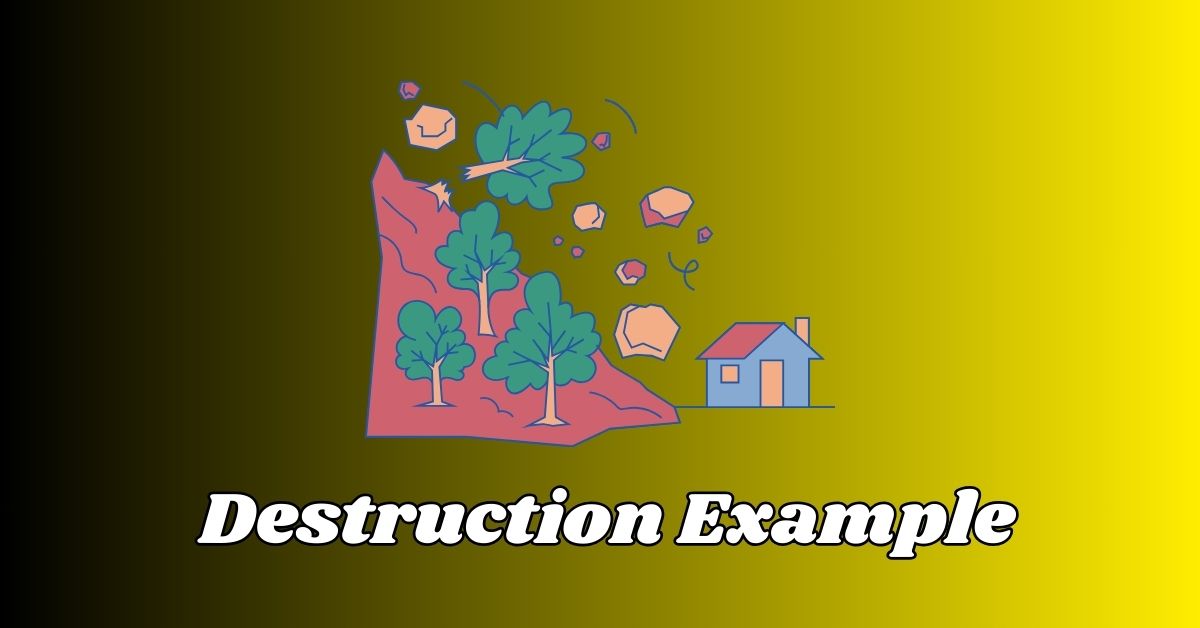 Distruction or Destruction: What’s the Difference